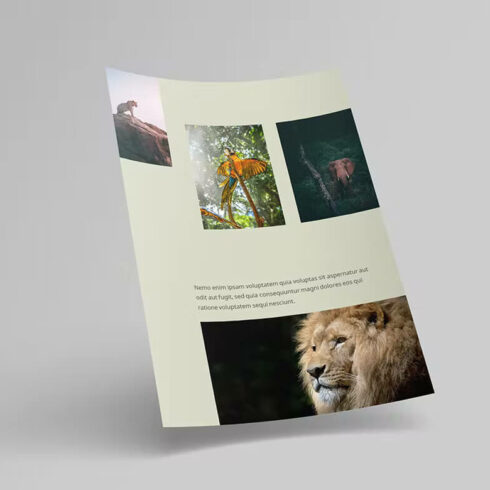 Wildlife - Magazine Powerpoint Template | Master Bundles