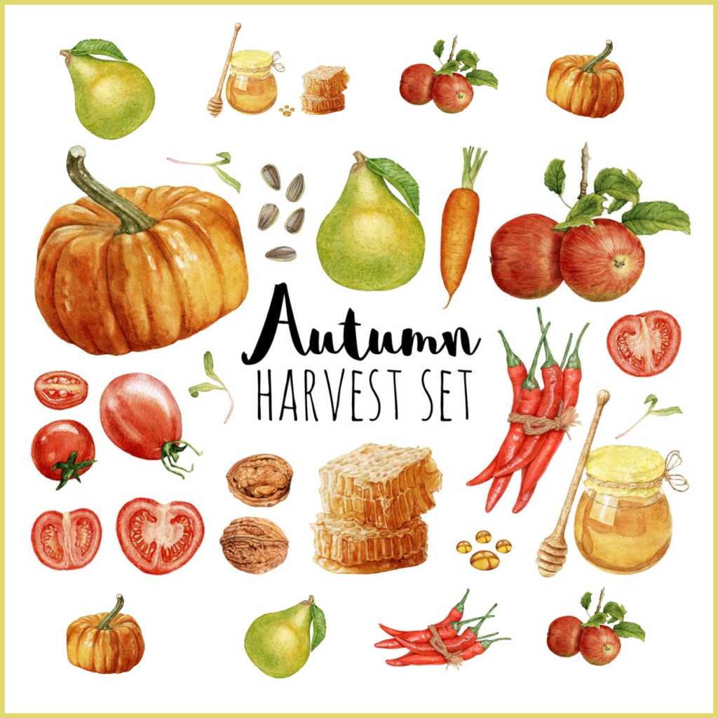 Autumn Harvest Set – MasterBundles