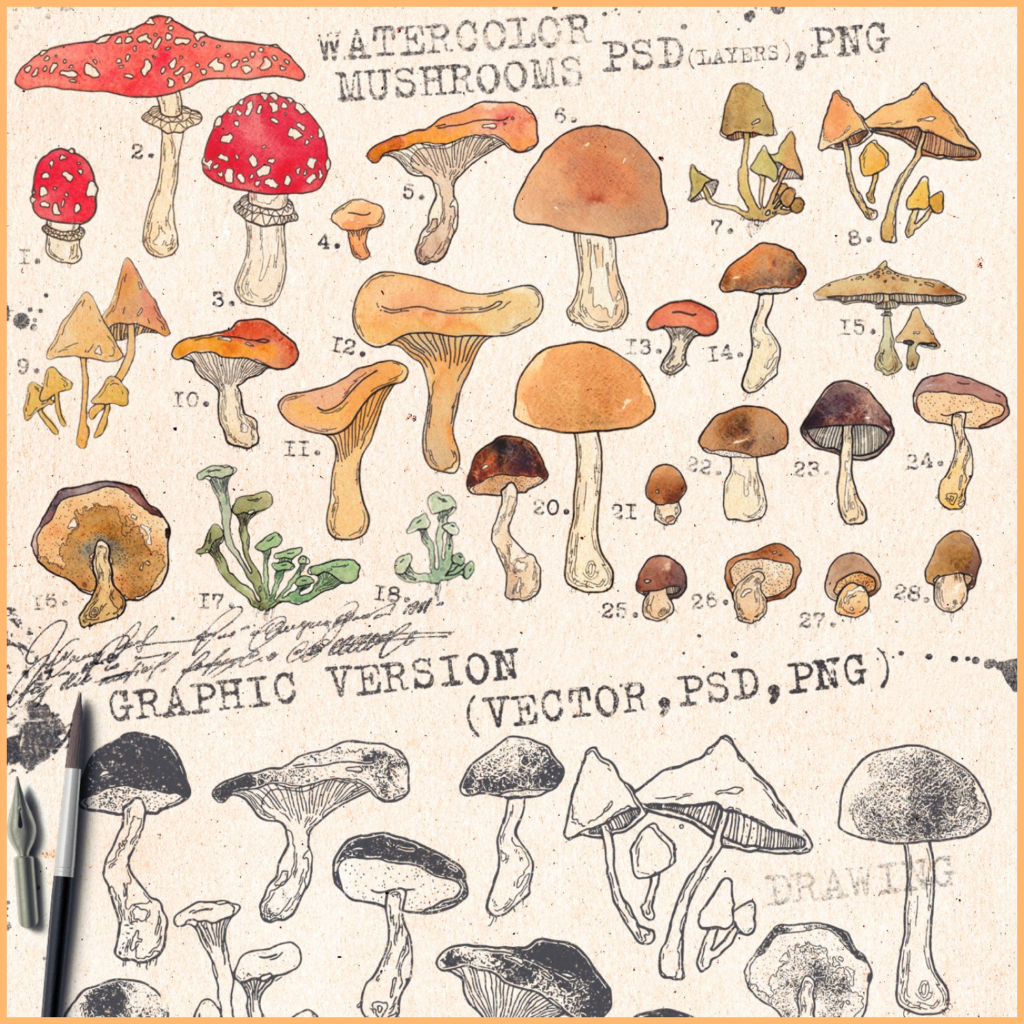 Watercolor Mushrooms Set | Master Bundles