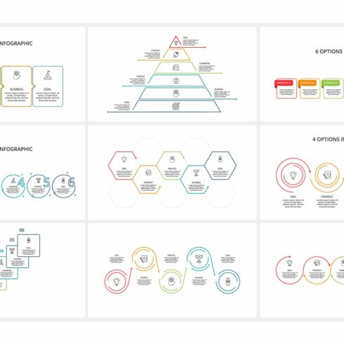 50 Line Animated Infographics | Master Bundles