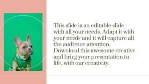 Cute Powerpoint Slides Free – MasterBundles