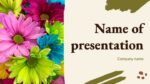 Free Colorful Powerpoint Template – MasterBundles