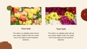 Free Colorful Powerpoint Template – MasterBundles