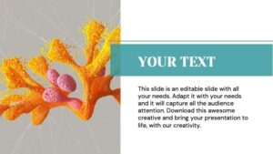 Powerpoint 3d Templates Free – MasterBundles