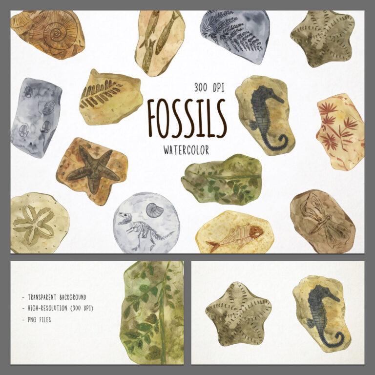 Watercolor Fossils Clipart – MasterBundles