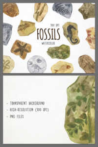 Watercolor Fossils Clipart – MasterBundles