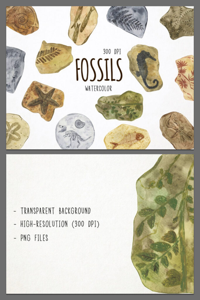 Watercolor Fossils Clipart – MasterBundles