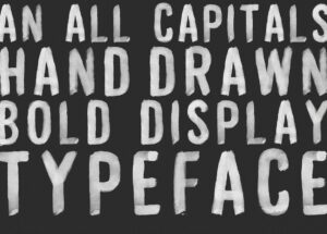 WORKSHOP SVG Font Duo – MasterBundles