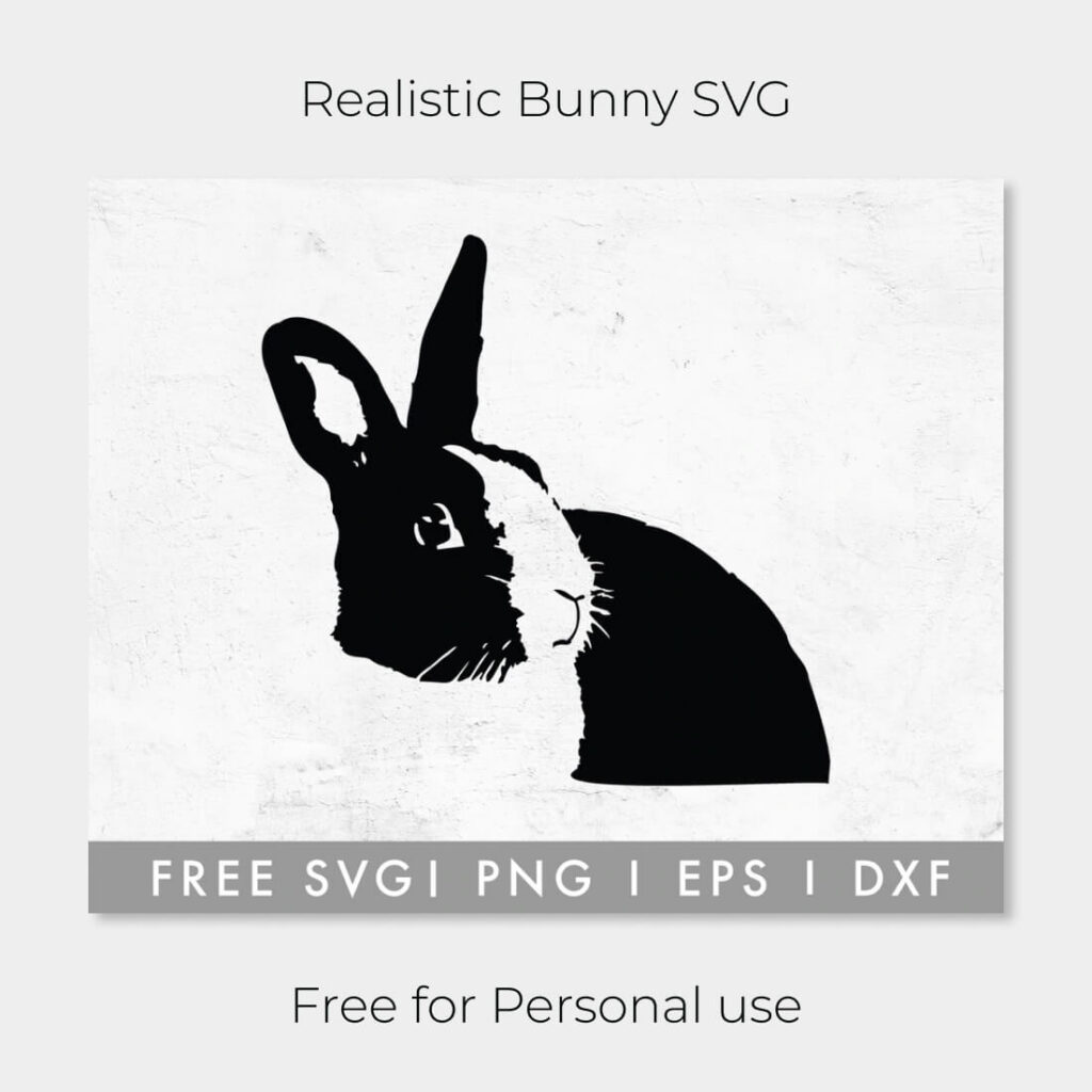 FREE Realistic Bunny SVG – MasterBundles