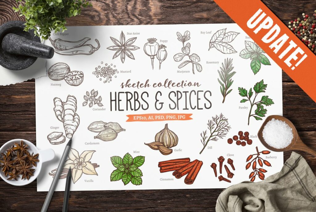 Herbs And Spices Sketches – MasterBundles