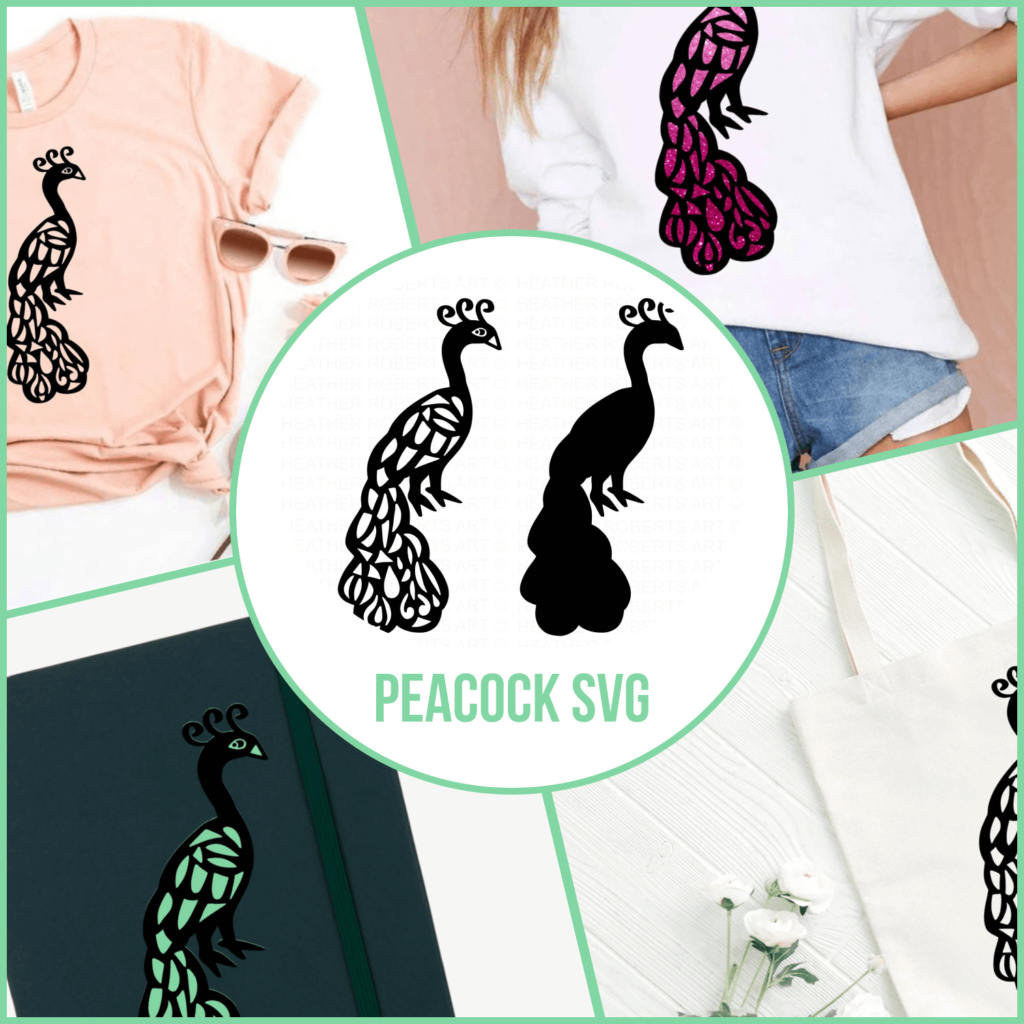 Peacock Feather SVG – MasterBundles