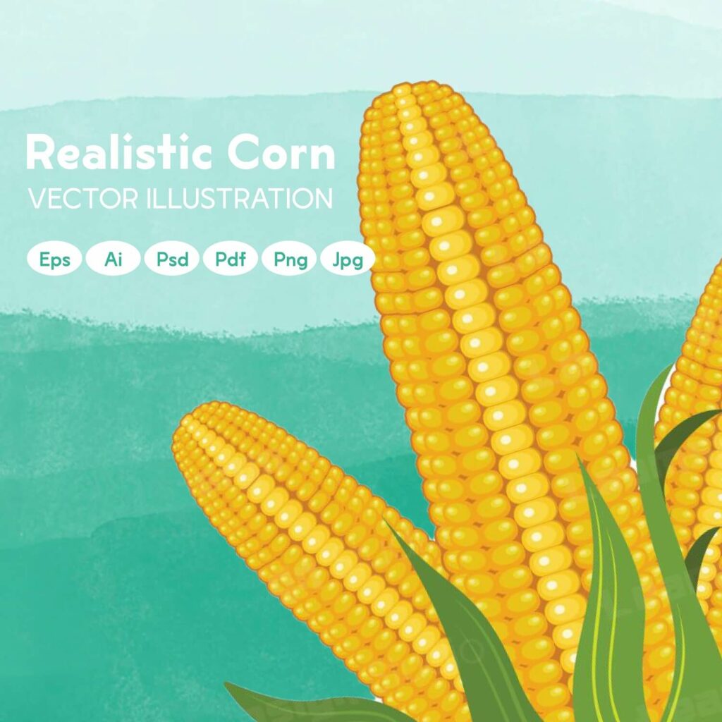 Vector Illustration - Realistic Corn – MasterBundles