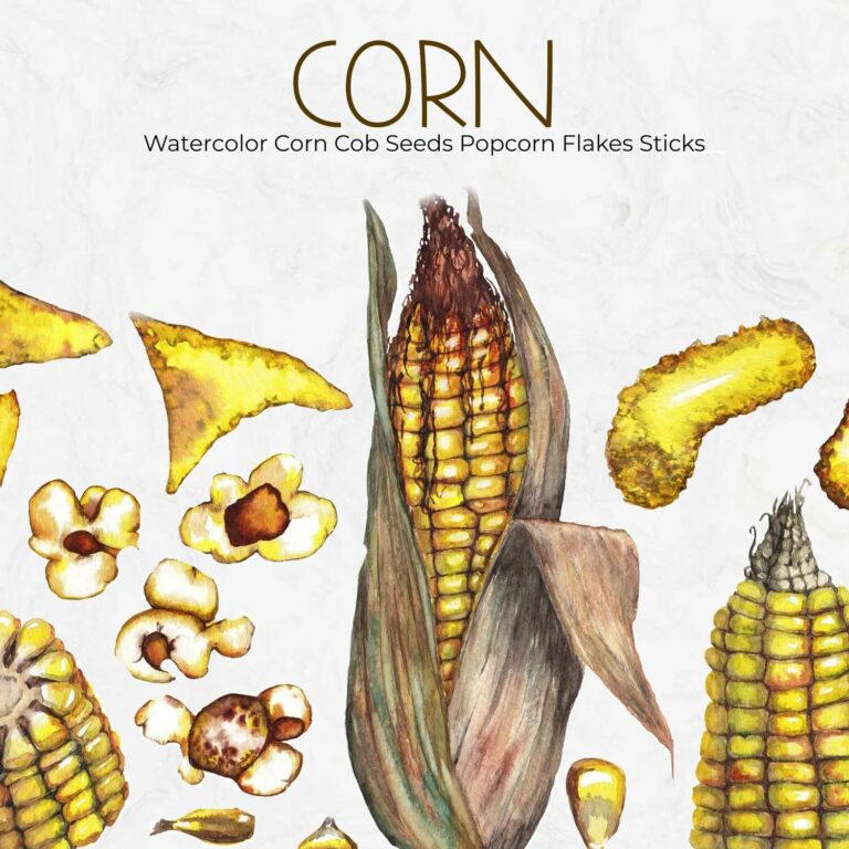 Watercolor Corn Cob Seeds Popcorn Flakes Sticks Chips PNG – MasterBundles