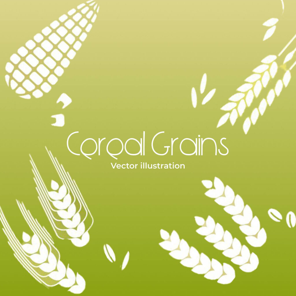 White Cereal Grains Icons. Rice, Wheat, Corn, Oats, Rye, Bar ...