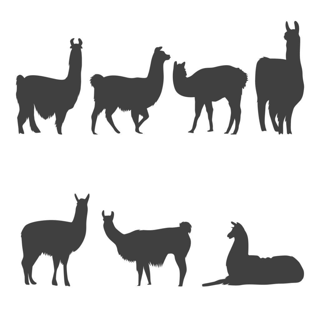 Llama SVG Files Bundle – MasterBundles