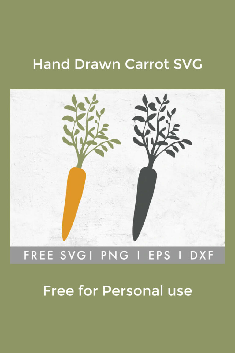 FREE Hand Drawn Carrot SVG – MasterBundles