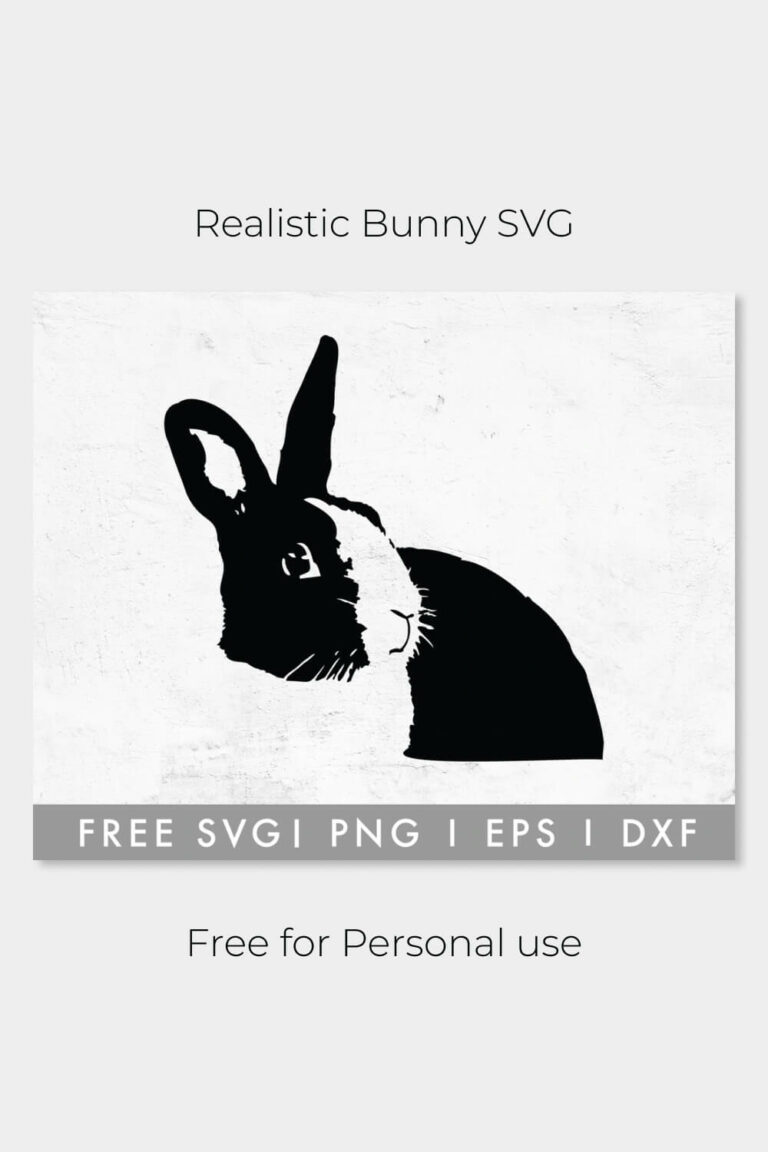 FREE Realistic Bunny SVG – MasterBundles