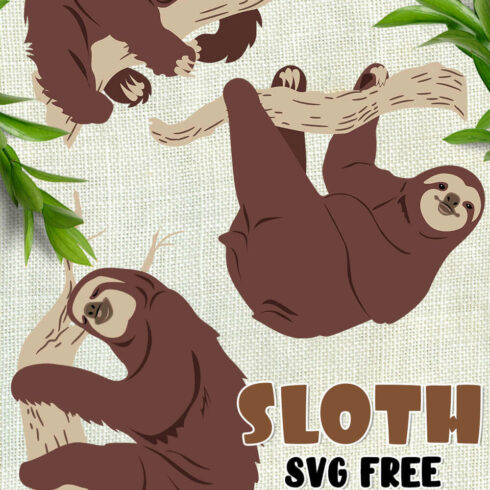Sloth SVG Free | Master Bundles