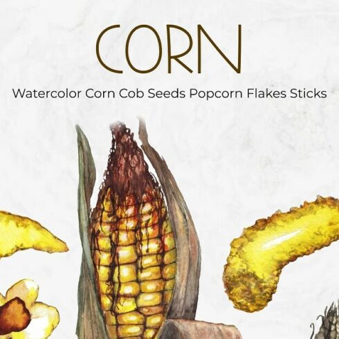 Watercolor Corn Cob Seeds Popcorn Flakes Sticks Chips PNG | Master Bundles