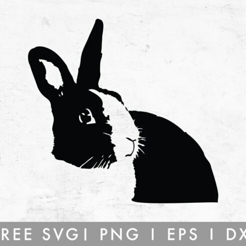 FREE Realistic Bunny SVG | MasterBundles