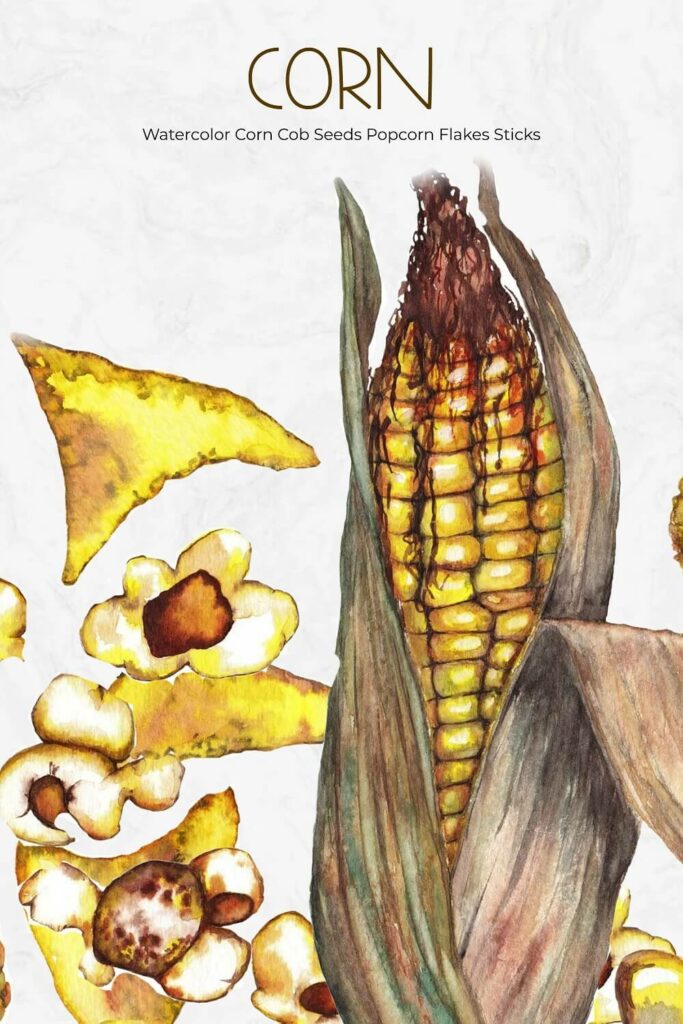 Watercolor Corn Cob Seeds Popcorn Flakes Sticks Chips PNG – MasterBundles