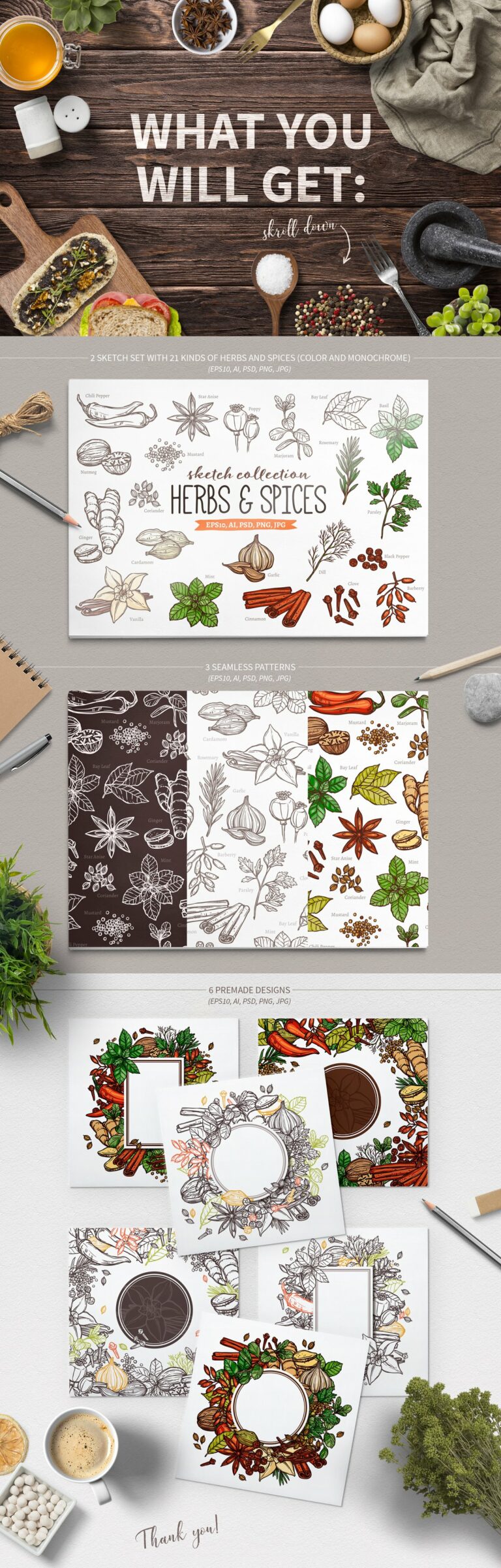 Herbs And Spices Sketches – MasterBundles