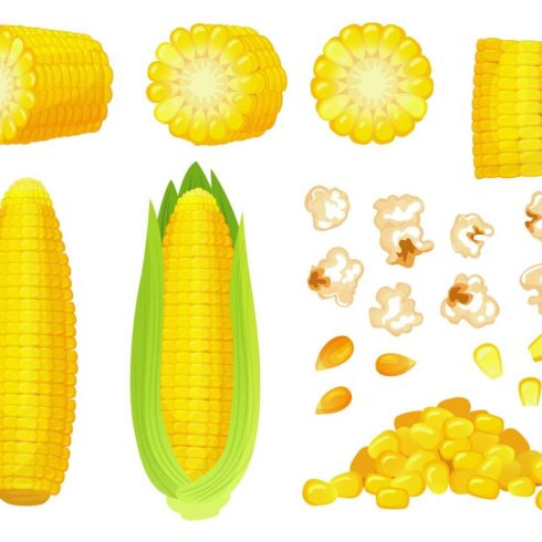 Cartoon Corn. Golden Maize Harvest, Popcorn Corny Grains and | Master ...