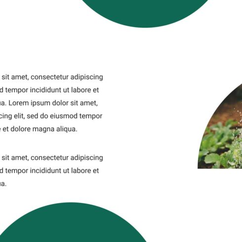 Free Environment Powerpoint Background | Master Bundles