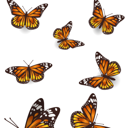 7 Monarch Butterfly SVG Files | MasterBundles