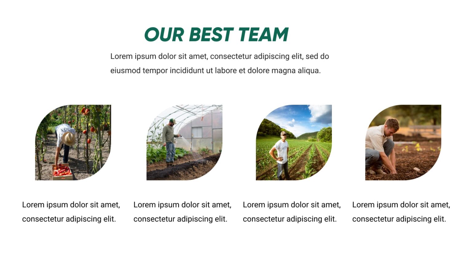 Free Environment Powerpoint Background – MasterBundles