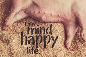 Akim Marker Typeface | Master Bundles