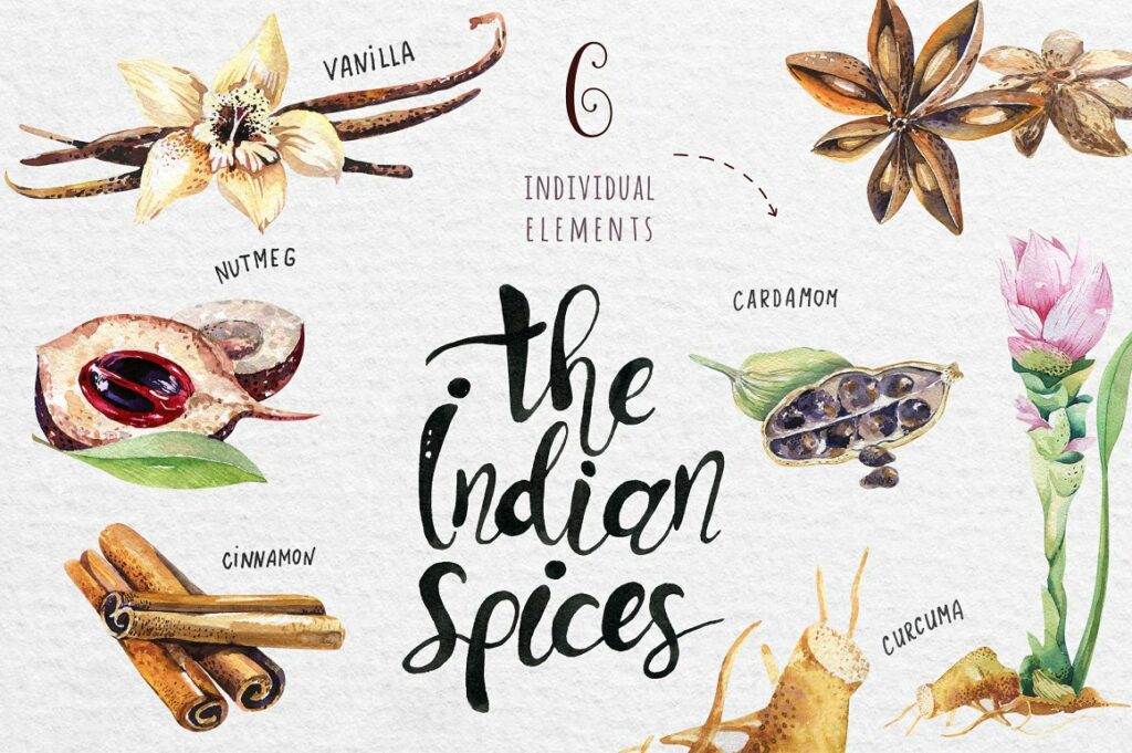 Watercolor Indian Spices – MasterBundles