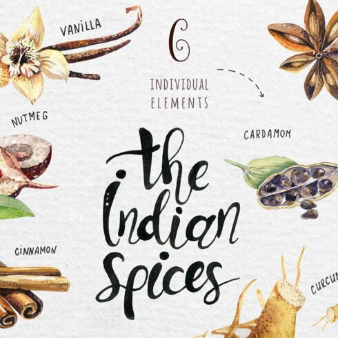 Watercolor Indian Spices | Master Bundles