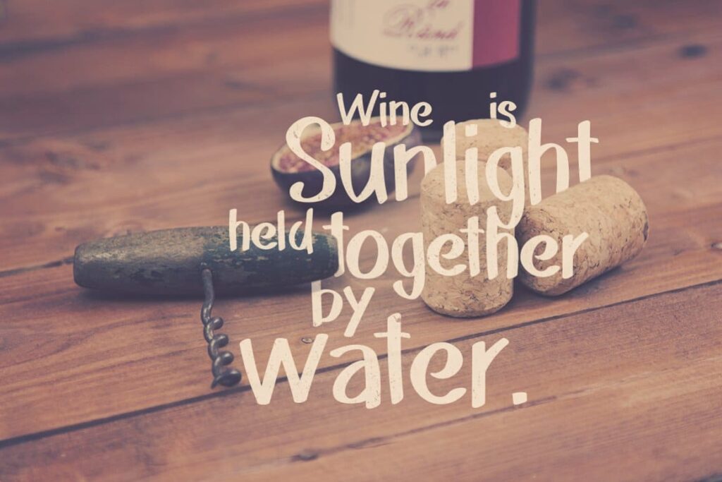 Akim Marker Typeface – MasterBundles