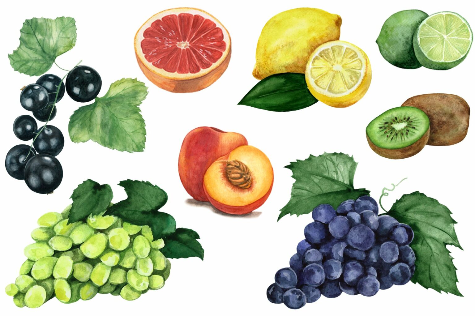 Watercolor Vegetables & Fruits 43 Elements – MasterBundles