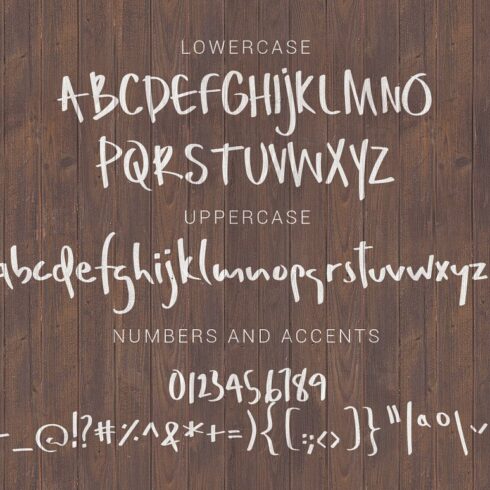 Thom Ritz Typeface | Master Bundles