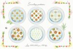 Bon Appetit! | Master Bundles