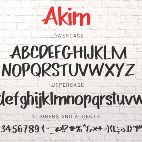 Akim Marker Typeface | Master Bundles