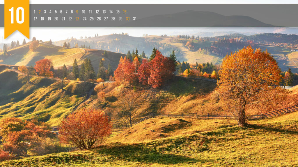 Free October Calendar – MasterBundles