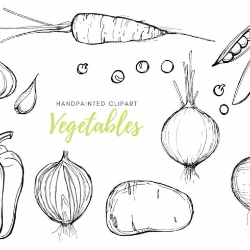 Vegetable Clipart Sketch Set. Instant Download Food | MasterBundles