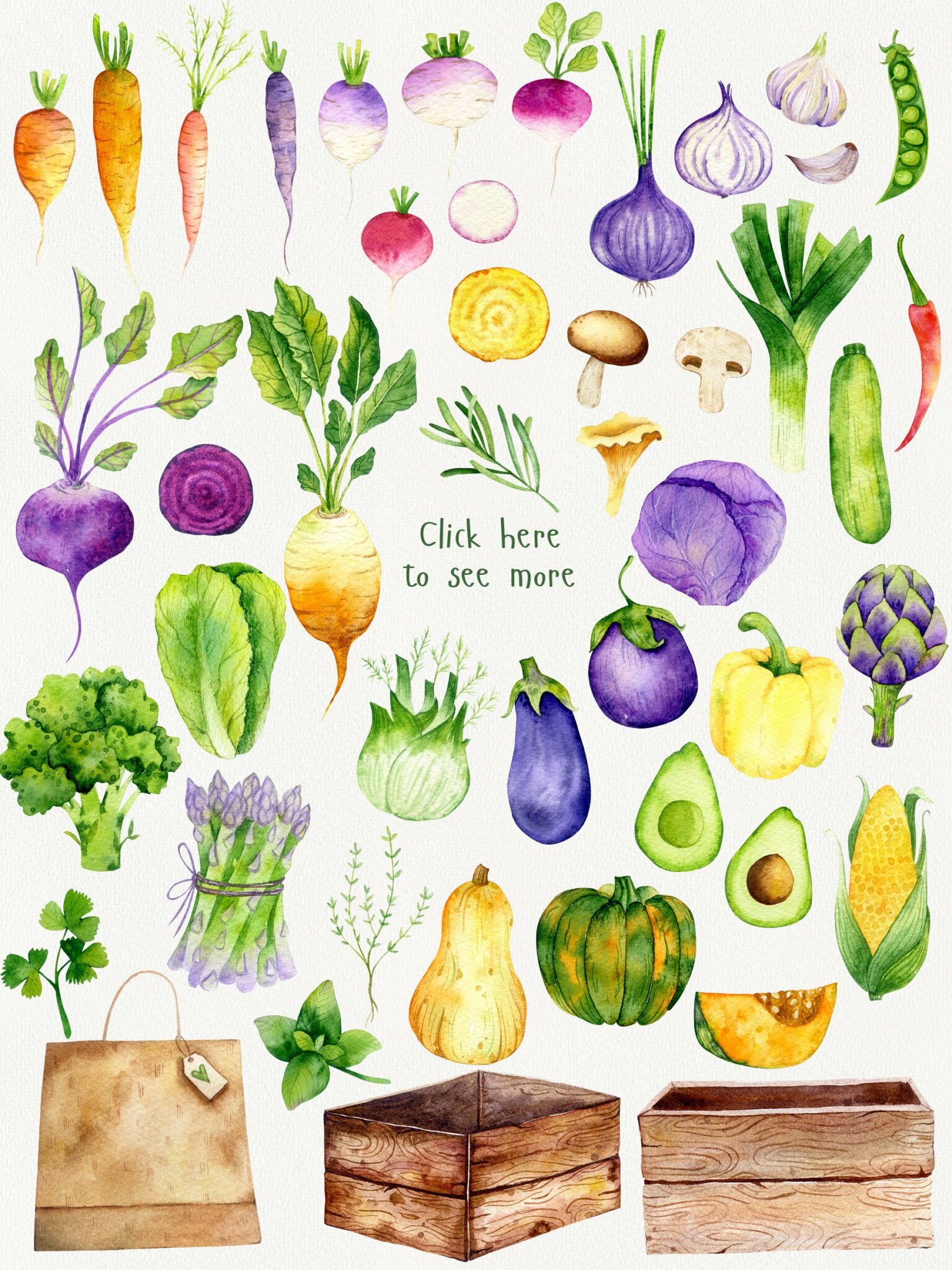 Vegetable Time Watercolor Set – MasterBundles