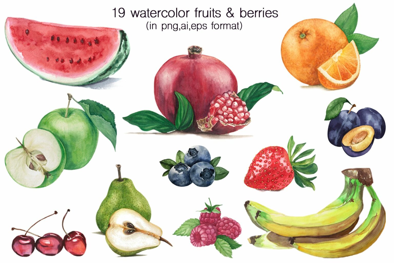 Watercolor Vegetables & Fruits 43 Elements – MasterBundles