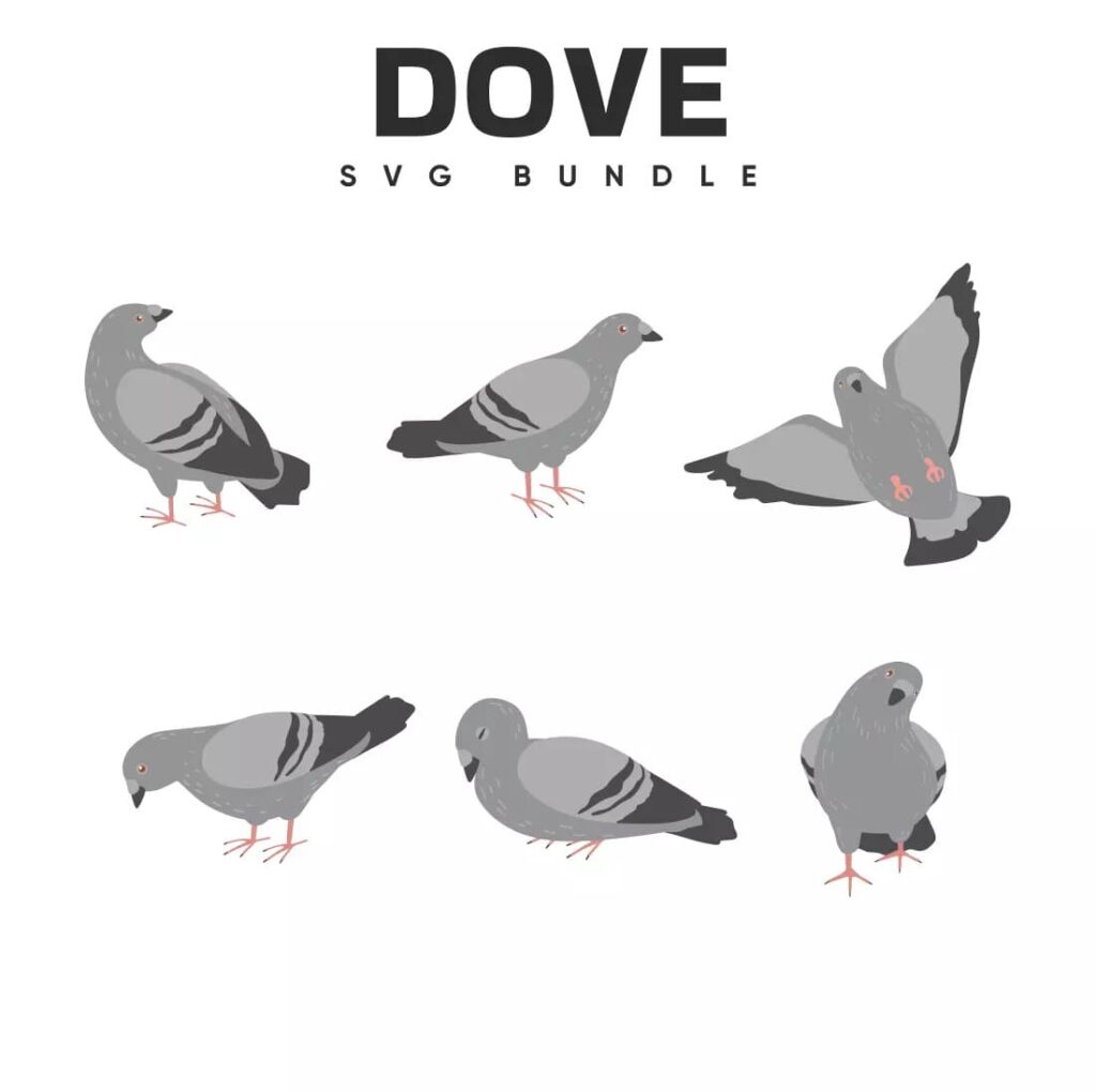 Jumbo Dove SVG Bundle – MasterBundles