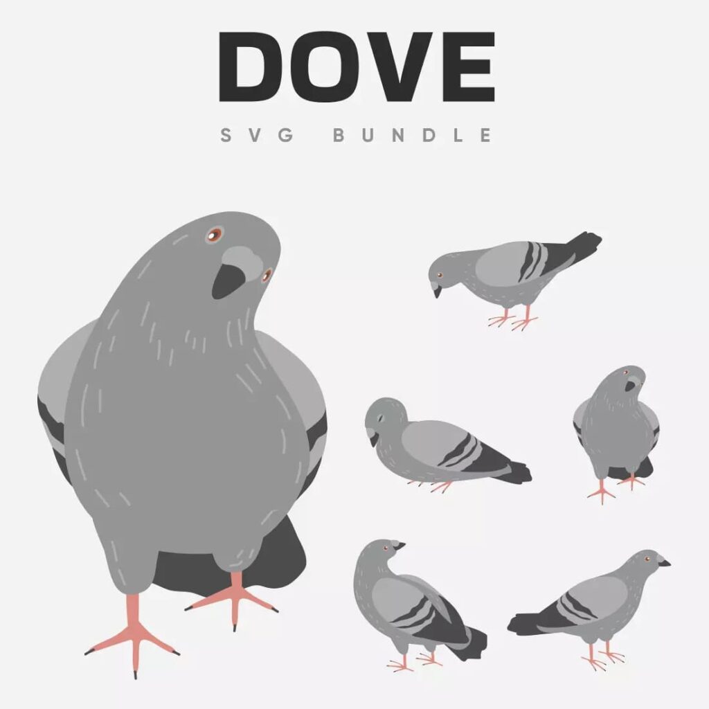 Jumbo Dove SVG Bundle – MasterBundles