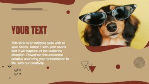 Fun Powerpoint Slides – MasterBundles