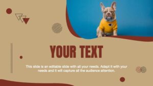 Fun Powerpoint Slides – MasterBundles