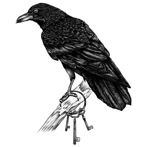 Set of stylized animal drawings | MasterBundles