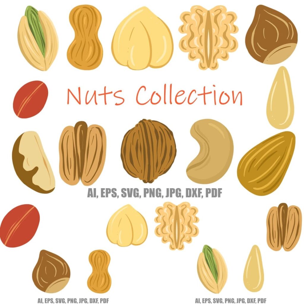 Collection Nuts and Seeds Brazil Walnut Cashew Pecan Almond – MasterBundles