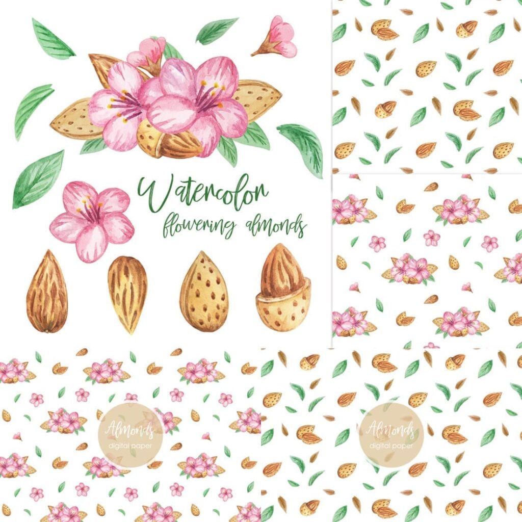 Watercolor Almonds Nuts Clipart, Nuts and Seeds Set – MasterBundles