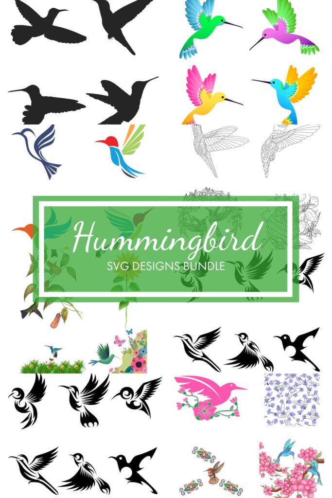 Hummingbird SVG Designs Bundle – MasterBundles